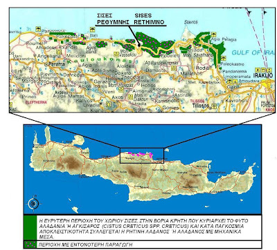 Λάβδανο ή Λάδανο ή Αλάδανος : Το Μύρο της Βίβλου .: ΠΕΡΙΟΧΗ ΑΛΑΔΑΝΟΥ ...