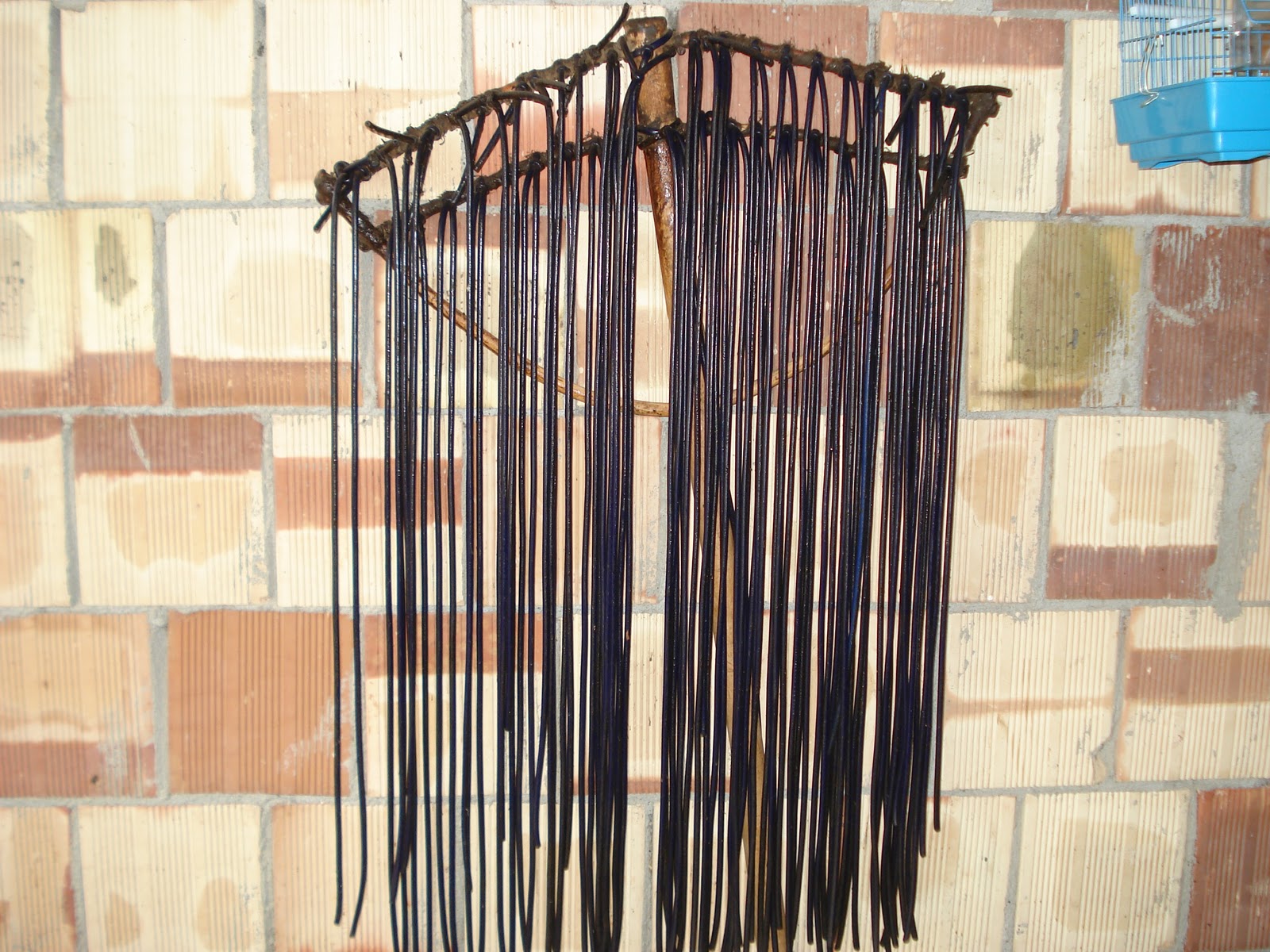 Labdanum of Cistus Incanus Creticus from Crete.: Tool of the ladanum or ...