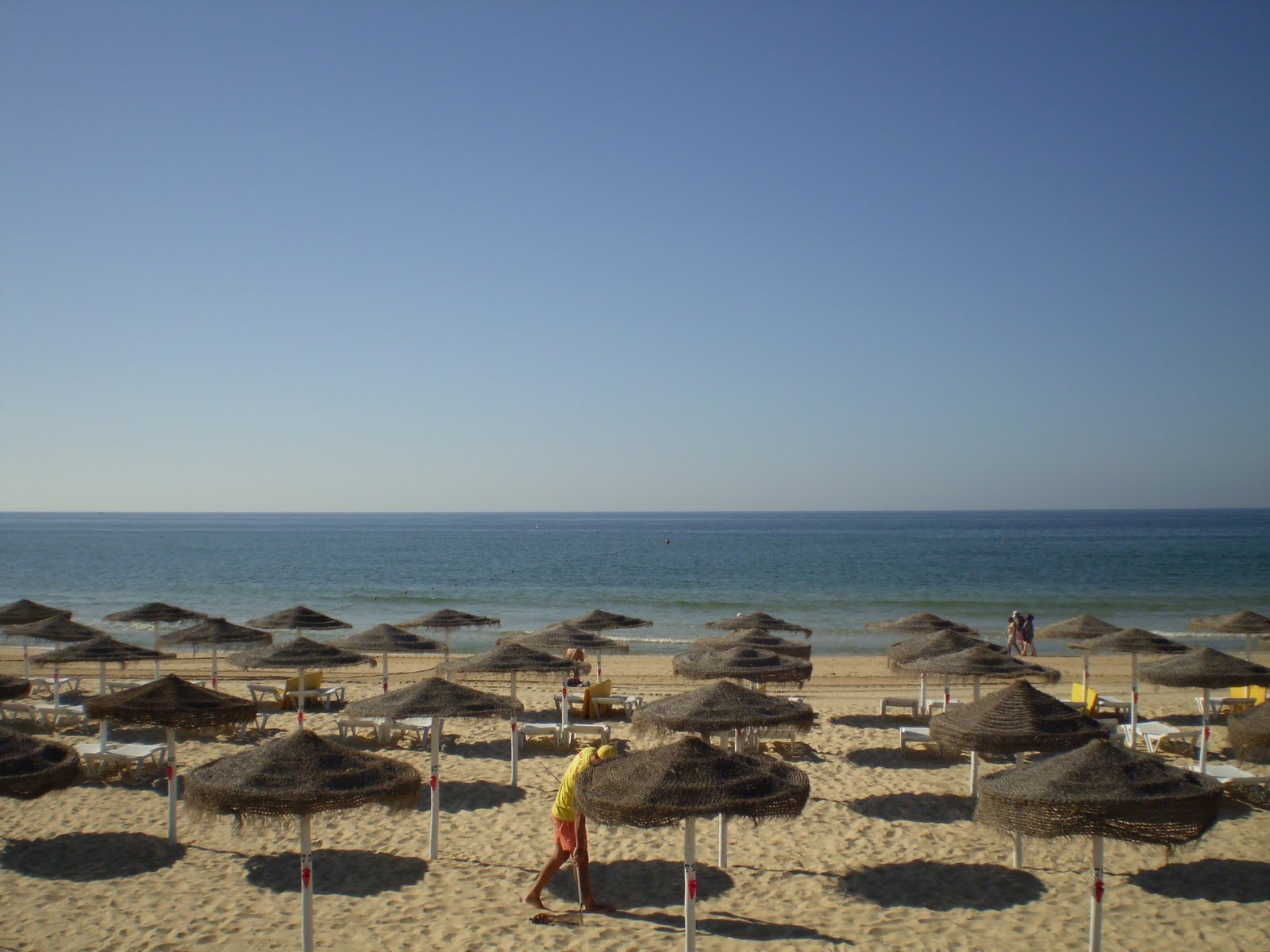 Maravilhas Naturais do Algarve: Imagens da Ria Formosa - Manta Rota