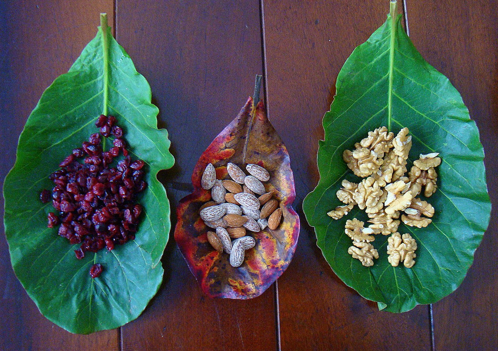 come-se: Sete-copas. As folhas