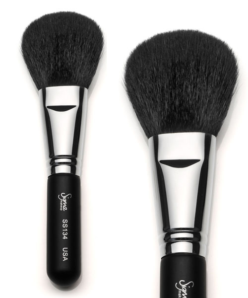 Sigma Premium Brush Set Review | Makeup By RenRen