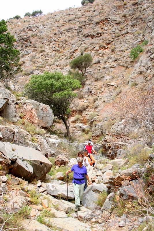 ΟΡΕΙΒΑΤΙΚΟΣ ΣΥΛΛΟΓΟΣ ΑΓΙΟΥ ΝΙΚΟΛΑΟΥ (1ος κύκλος): ΦΑΡΑΓΓΙ ΣΚΟΤΕΙΝΗΣ ...