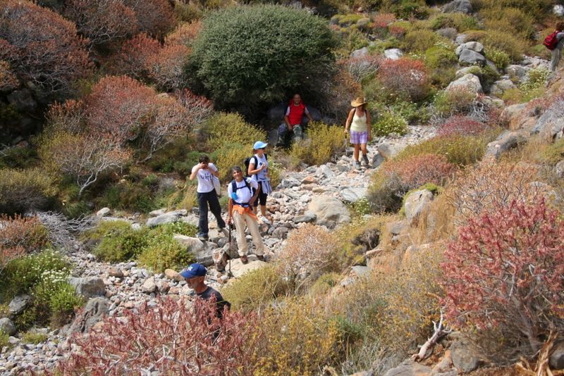 ΟΡΕΙΒΑΤΙΚΟΣ ΣΥΛΛΟΓΟΣ ΑΓΙΟΥ ΝΙΚΟΛΑΟΥ (1ος κύκλος): ΦΑΡΑΓΓΙ ΣΚΟΤΕΙΝΗΣ ...