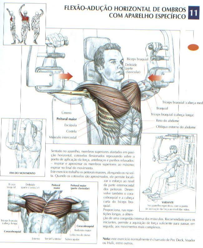 EXERCÍCIO PEITORAL - VOADOR (PECK DECK) - EdfisicaAlagoas