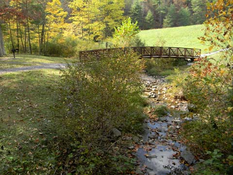 SWAC Girl: Picnic at Braley Pond in George Washington National Forest