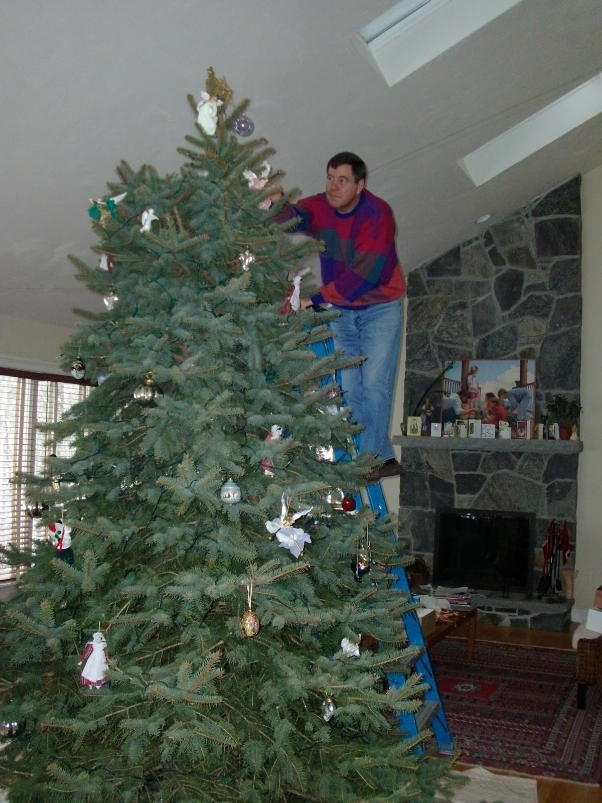 The Principal Undergardener: One Christmas, Two Trees