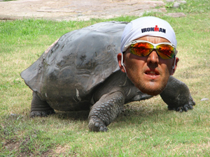 TORTUGA HUMANA: CONTACTO
