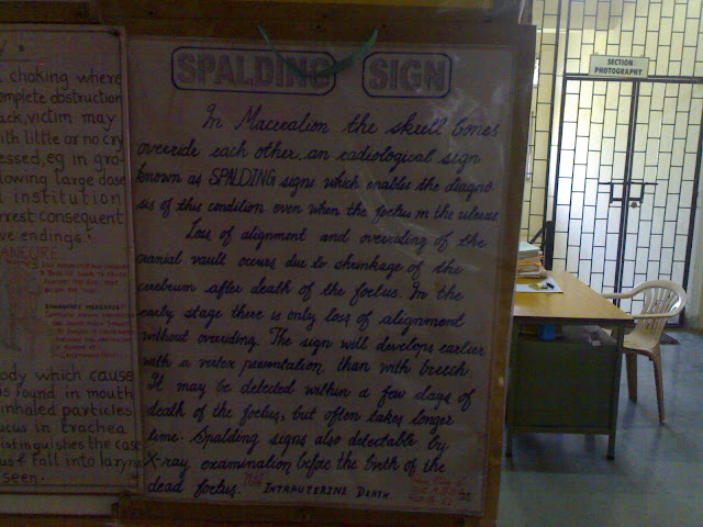 passion for almost evrythin: fmt charts