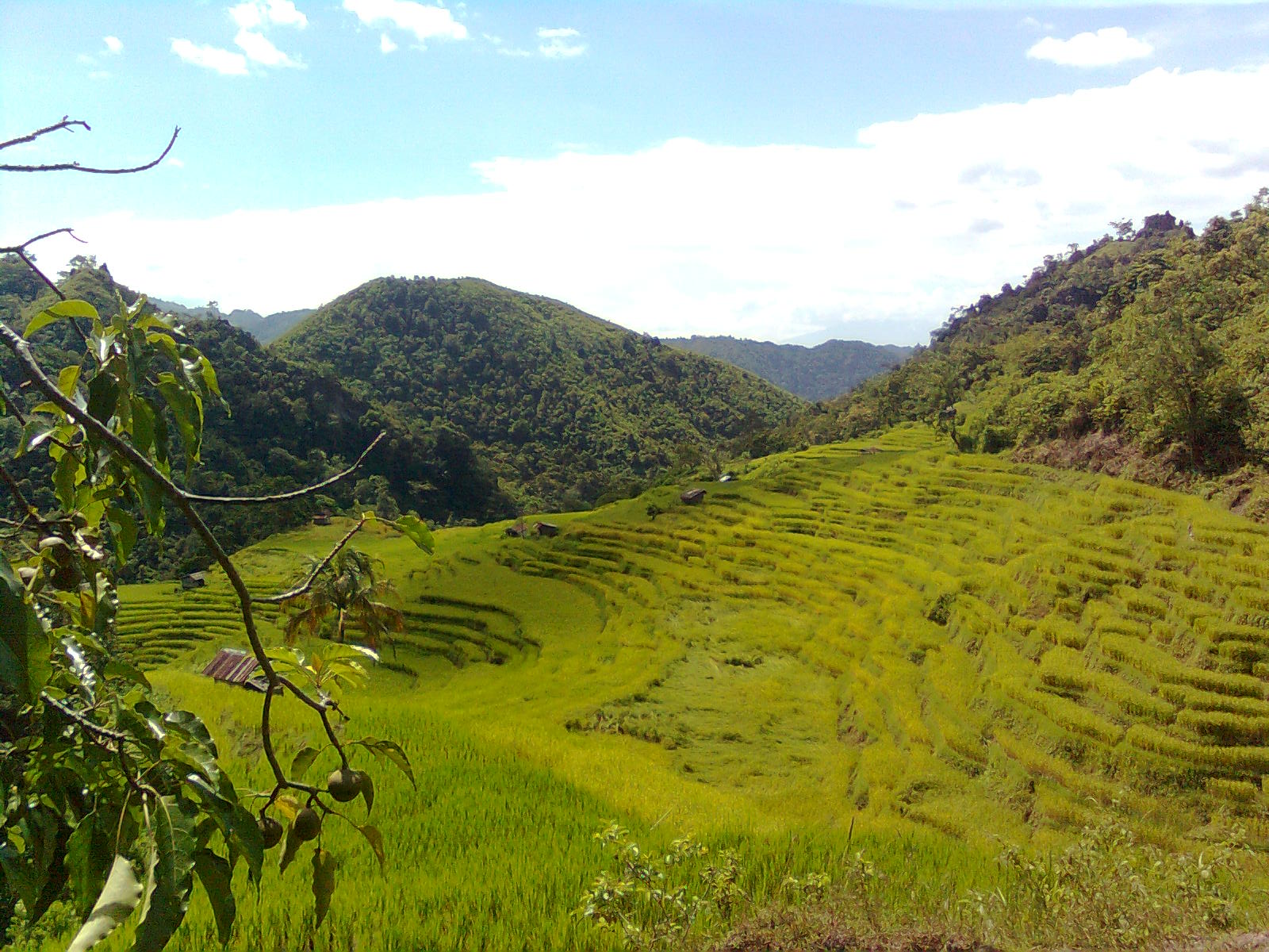 "P I N O K I O Z E": Nagari Kajai