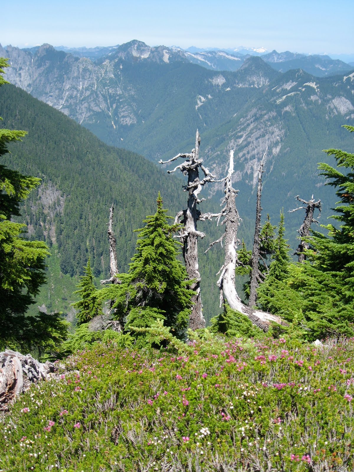 Good Life Northwest: Tacoma Hiker Glorifies Cascade Range With Her Photos