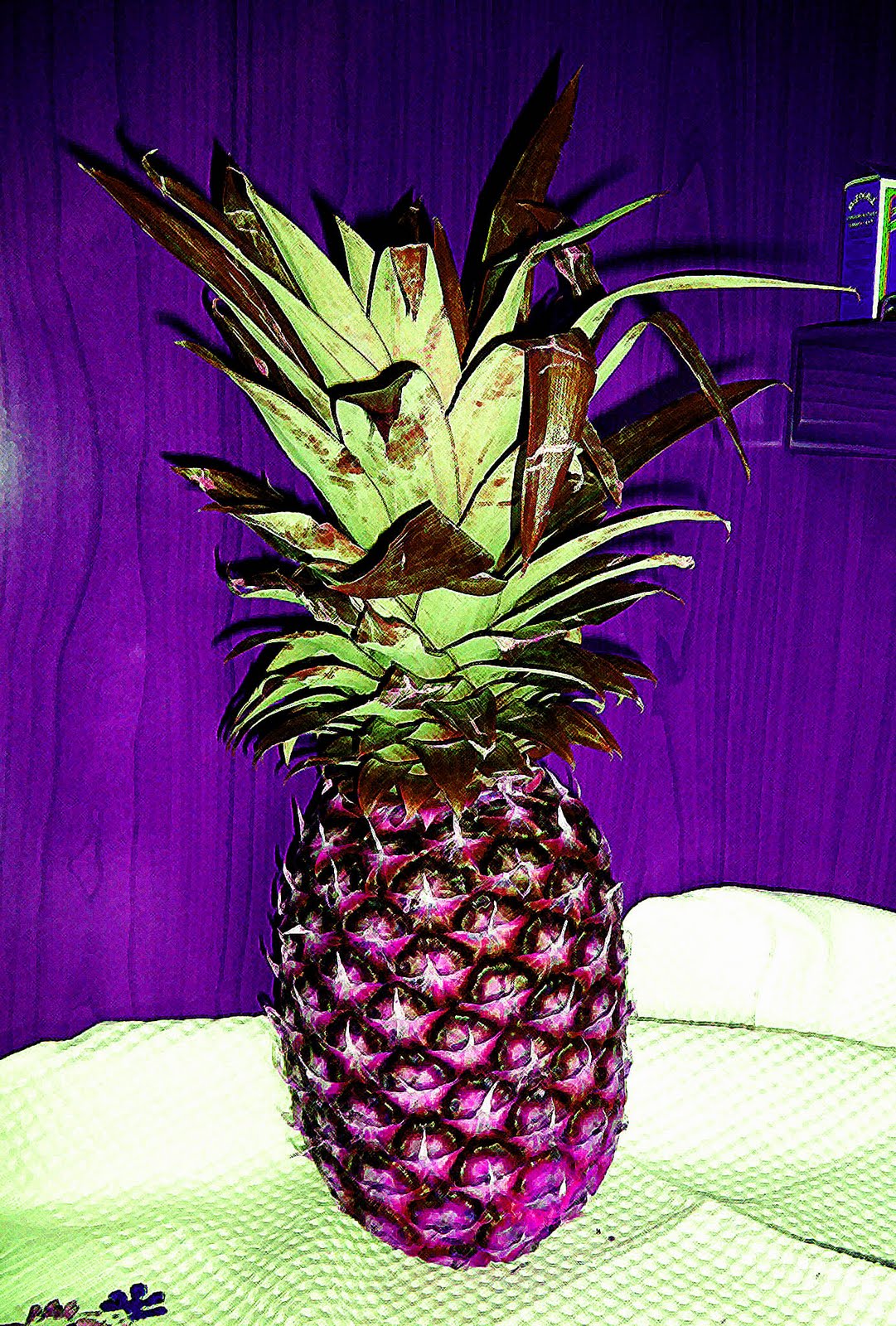 DESDE LA ORILLA: UNA PIÑA, DOS PIÑAS, TRES PIÑAS...