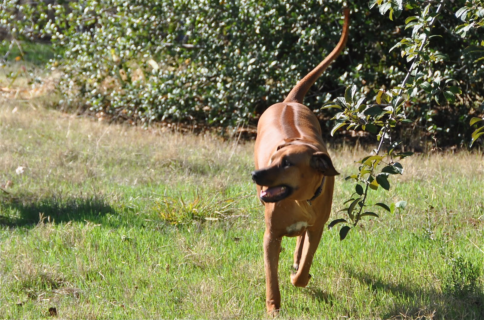 daily timewaster: October 2010