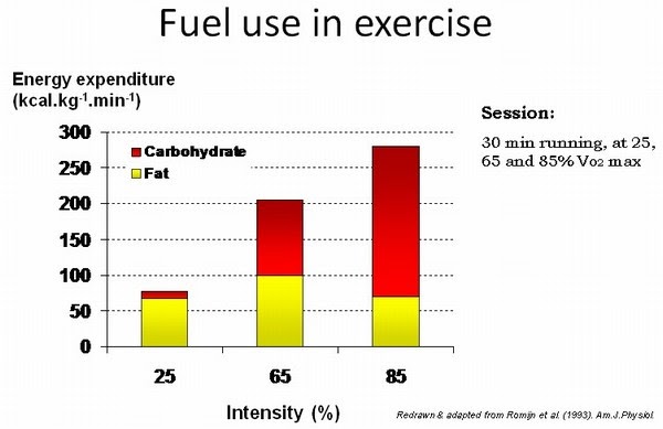 Sports Nutrition Basics – Fuel Sources During Exercise and Sport