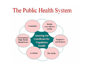 Public Health Nursing