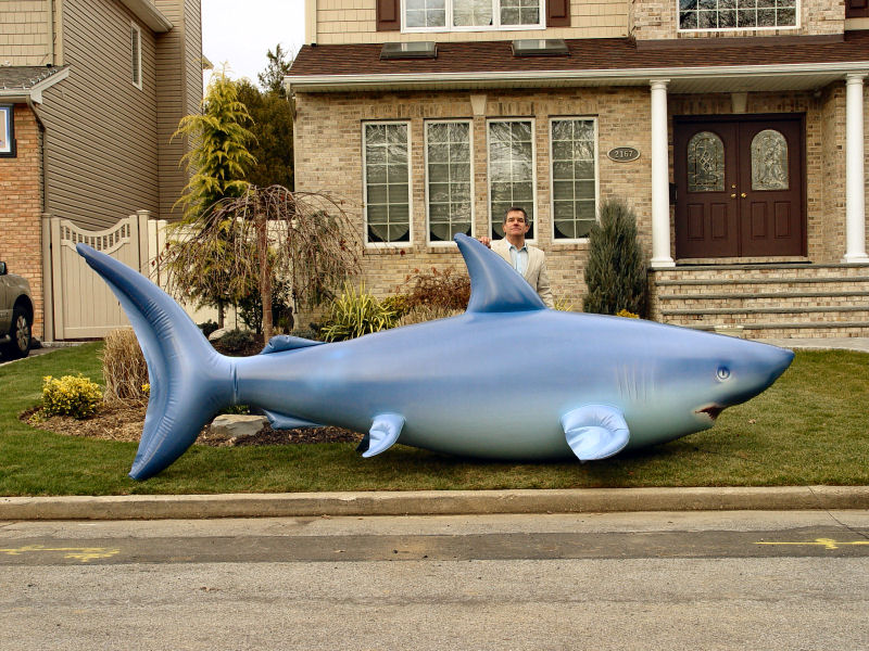 Inflatable Animals: Inflatable Shark