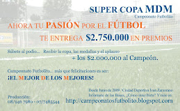 Campeonatos Futbolito