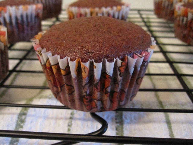 The Baker's Nuts: Light, No Frosting, Chocolate Cupcake