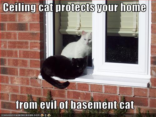 Ceiling Cat vs Basment Cat: A Parody on Good vs Evil - Off-Topic ...