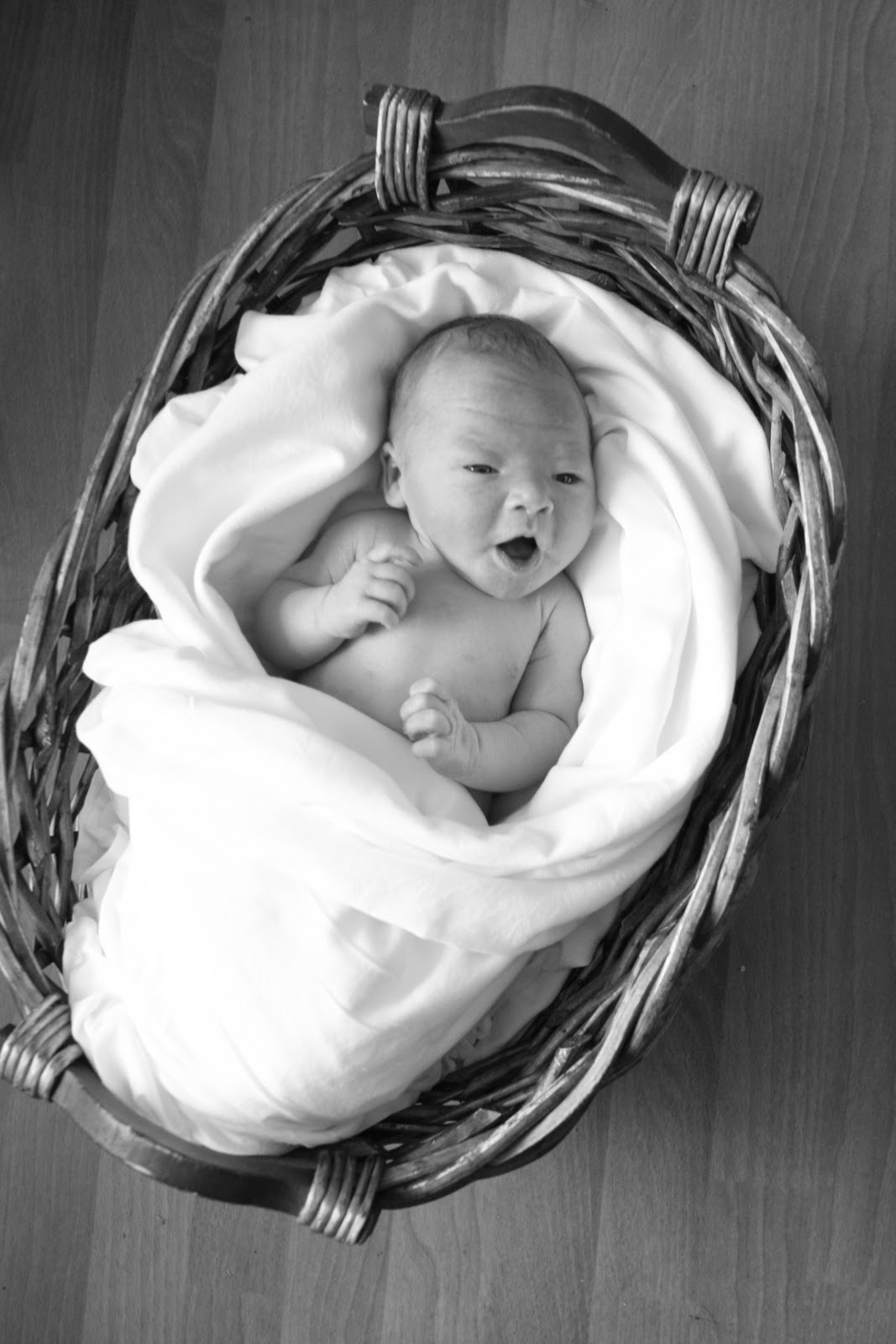 .: Baby Bennet Pics - from Bella Baby Photography
