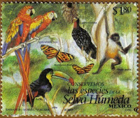 mUnDo NaTuRaL: Regiones Naturales en México