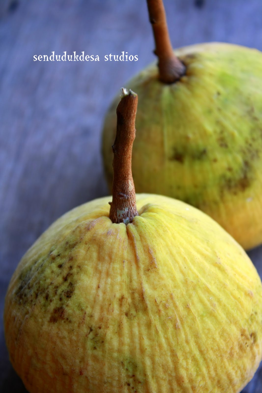 sendudukdesa journal: Musim Buah - Buah Setoi