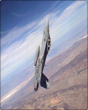 Berani,Bebas dan Bergaya: New MRCA for RMAF