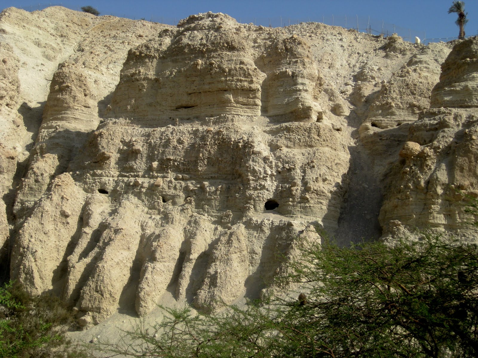 Sandal Prints through the Text: En Gedi