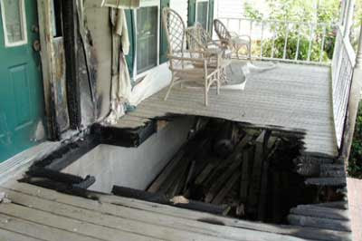 Nothing To Do With Arbroath: Spontaneously combusting plant sets house ...