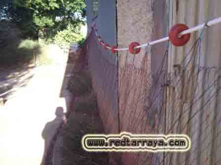 "Atarraya o Rall": Red trasmallo profesional para pescar " en venta ...