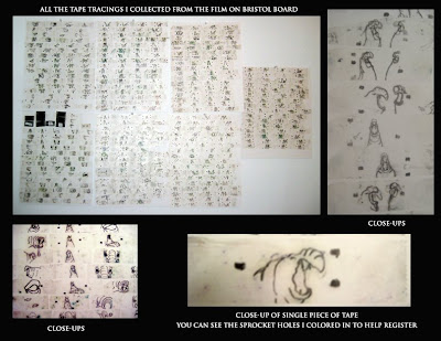 MIROUNGA: Scratching on Film Supplies!