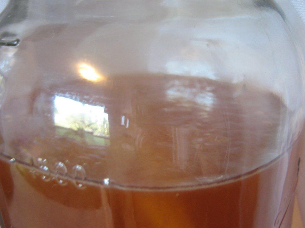 the happy raw kitchen: Kombucha, Baby! Update
