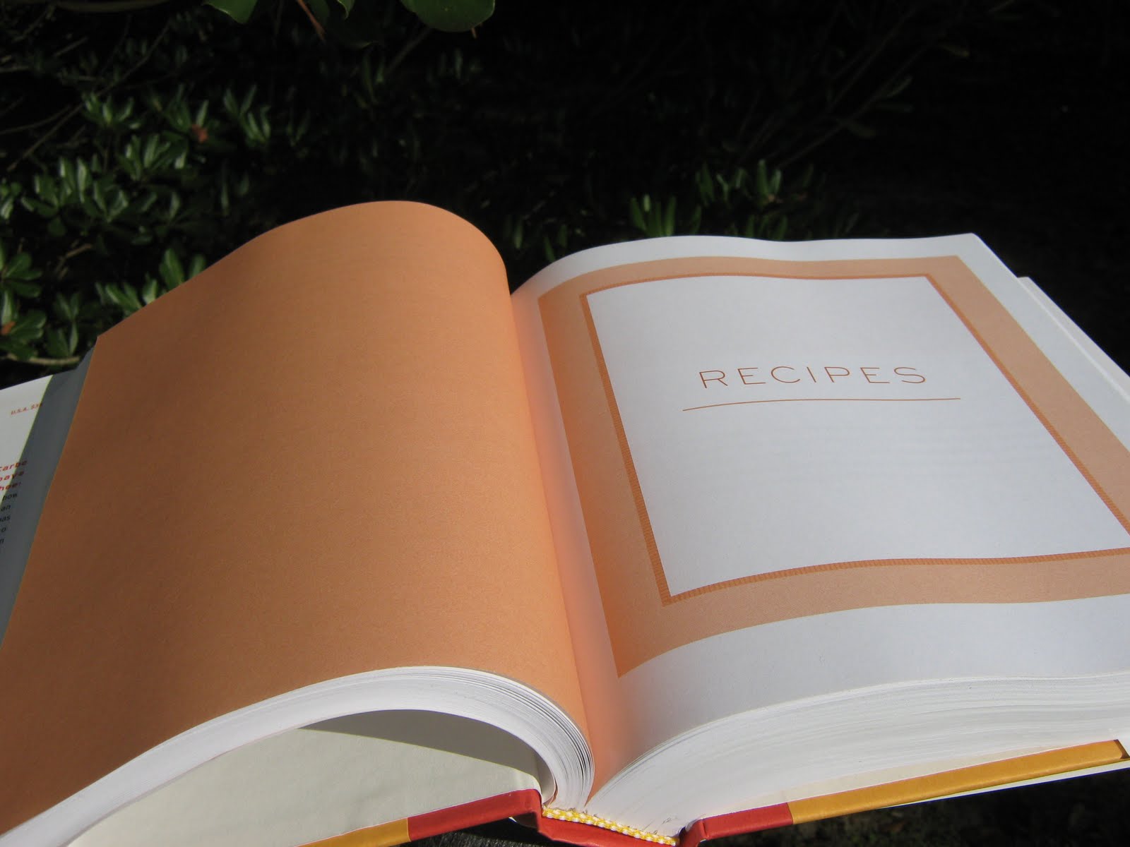 the happy raw kitchen