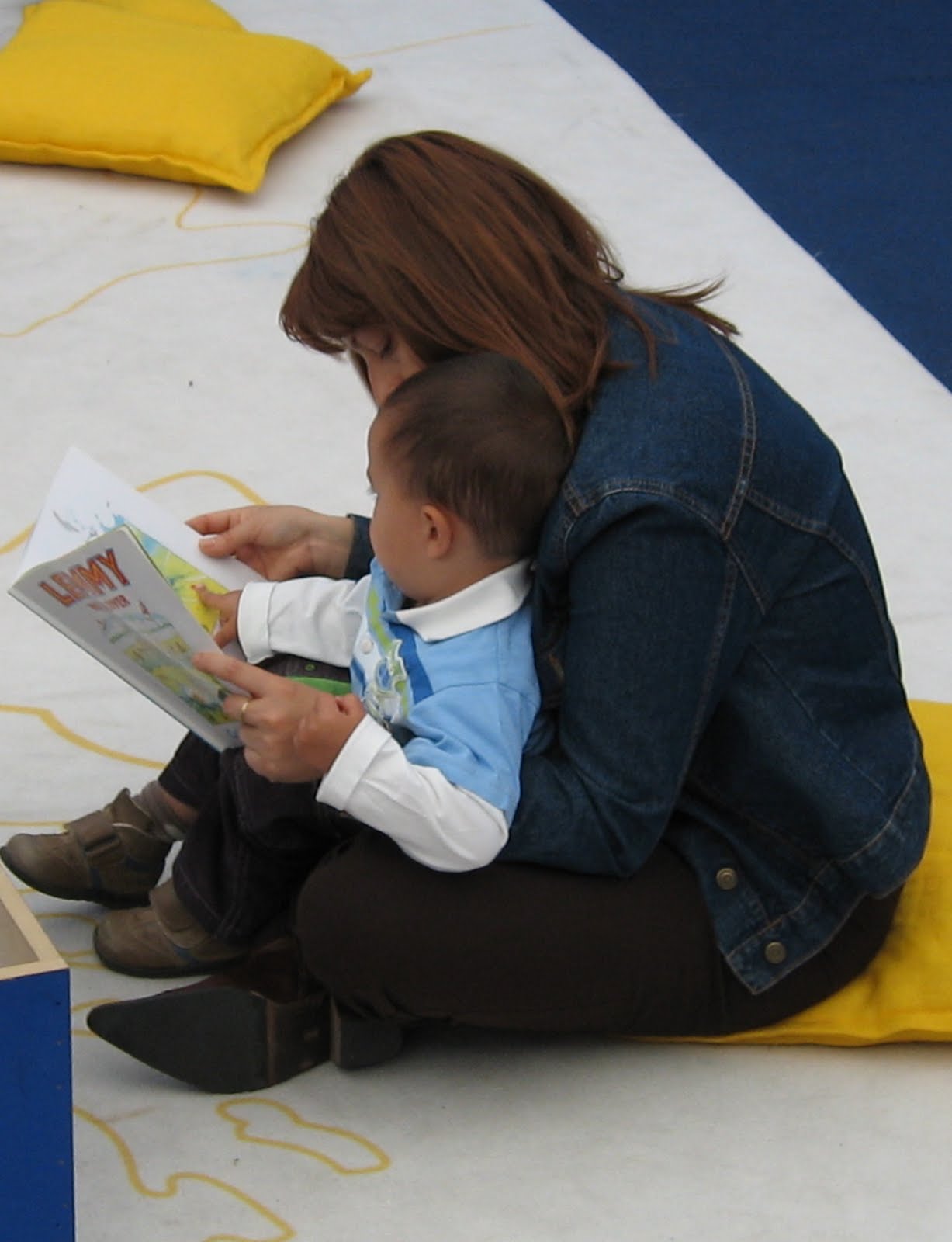 discreto lector: En el regazo