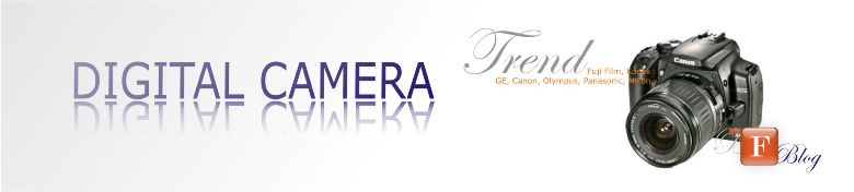 Canon Powershot SX10IS 10MP Digital Camera with 20x Wide Angle Optical ...