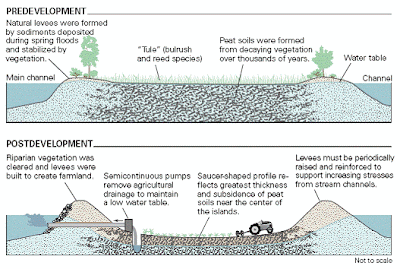 Chimaera Contemplations: Delta in distress