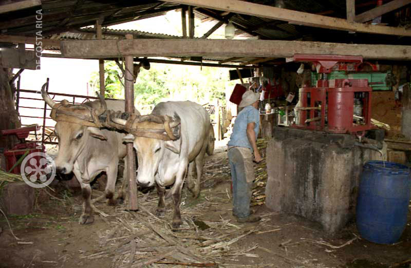 Turismo Rural en Costa Rica.: Actividades Representativas del Turismo ...