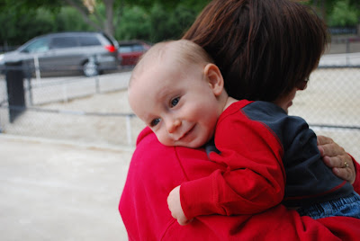 The Masyr Six: Quicksilver Miniature Horse Ranch - Solvang!