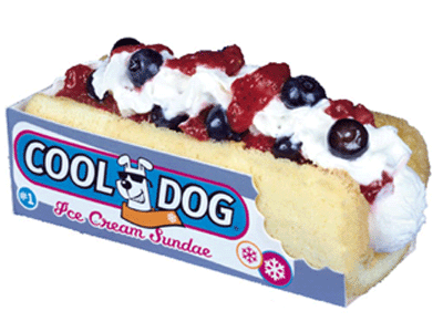 Windy Sydney: Cool Dogs