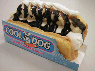 Windy Sydney: Cool Dogs