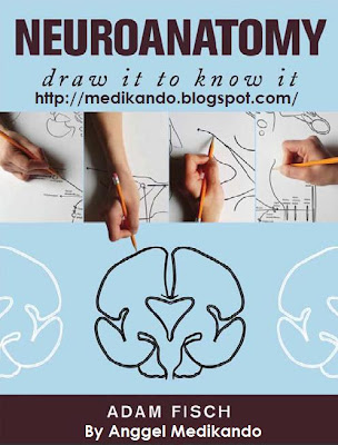 Medikando: Neuroanatomy: draw it to know it