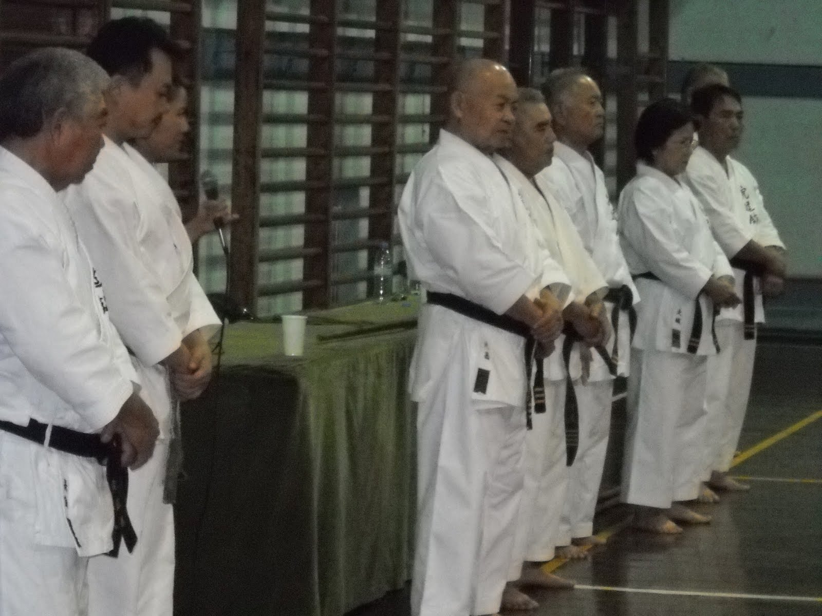 2010 Okinawan Karate & Kobudo World Championships: Special Class by ...