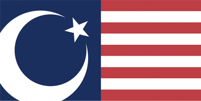 Gallery Vector Art: "American-Muslims-Flag"