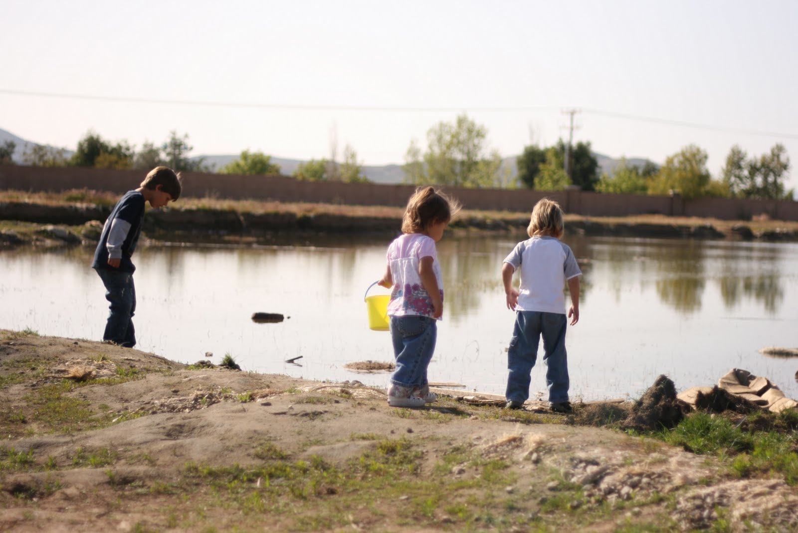 Our School House: Hop Frog Pond