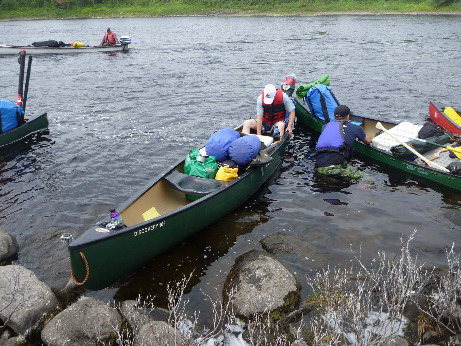 Newfoundland Sea Kayaking: Gander River Canoe Trip - Year X