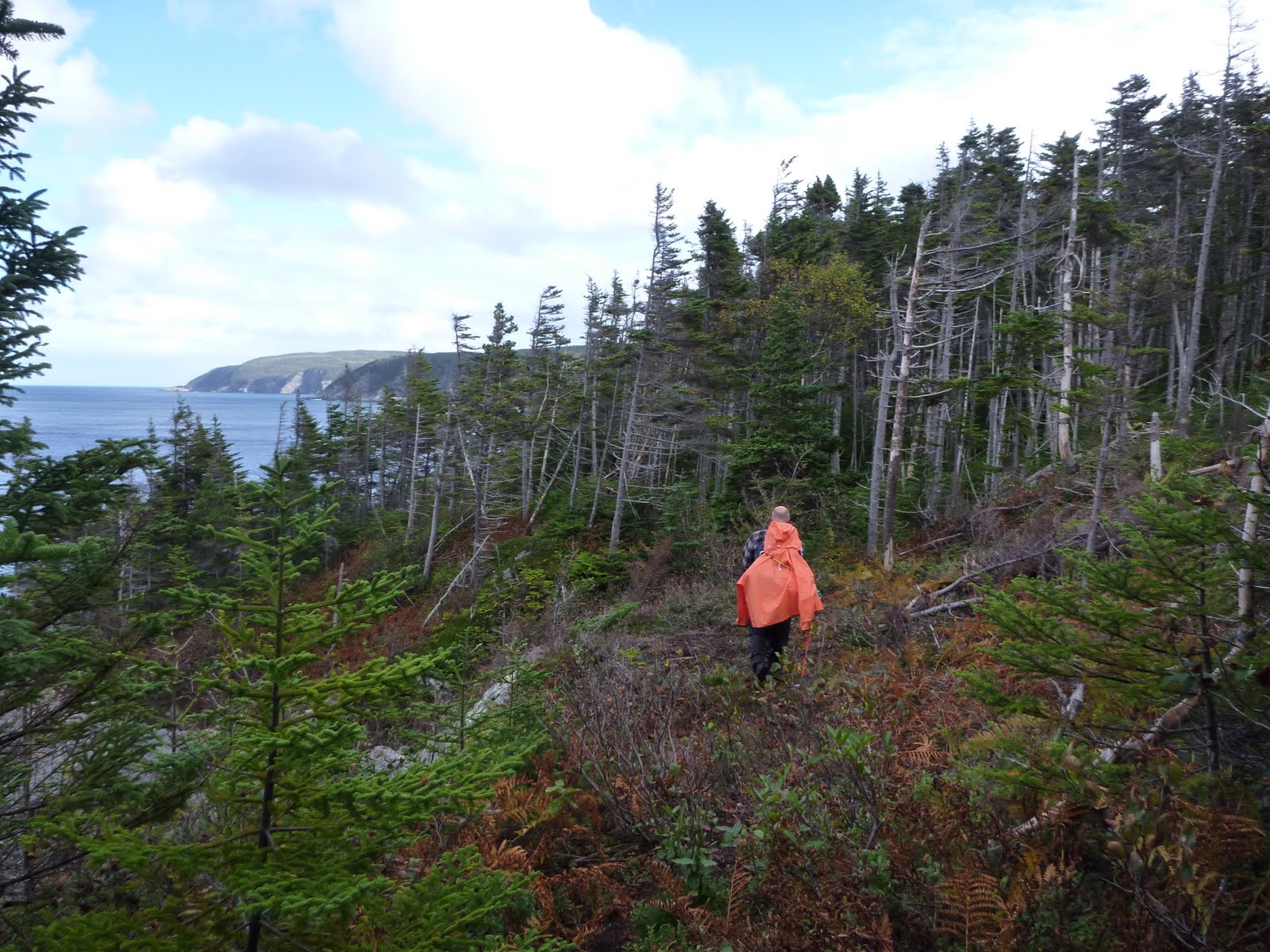 Newfoundland Sea Kayaking: East Coast Trail: Cape Broyle to Calvert