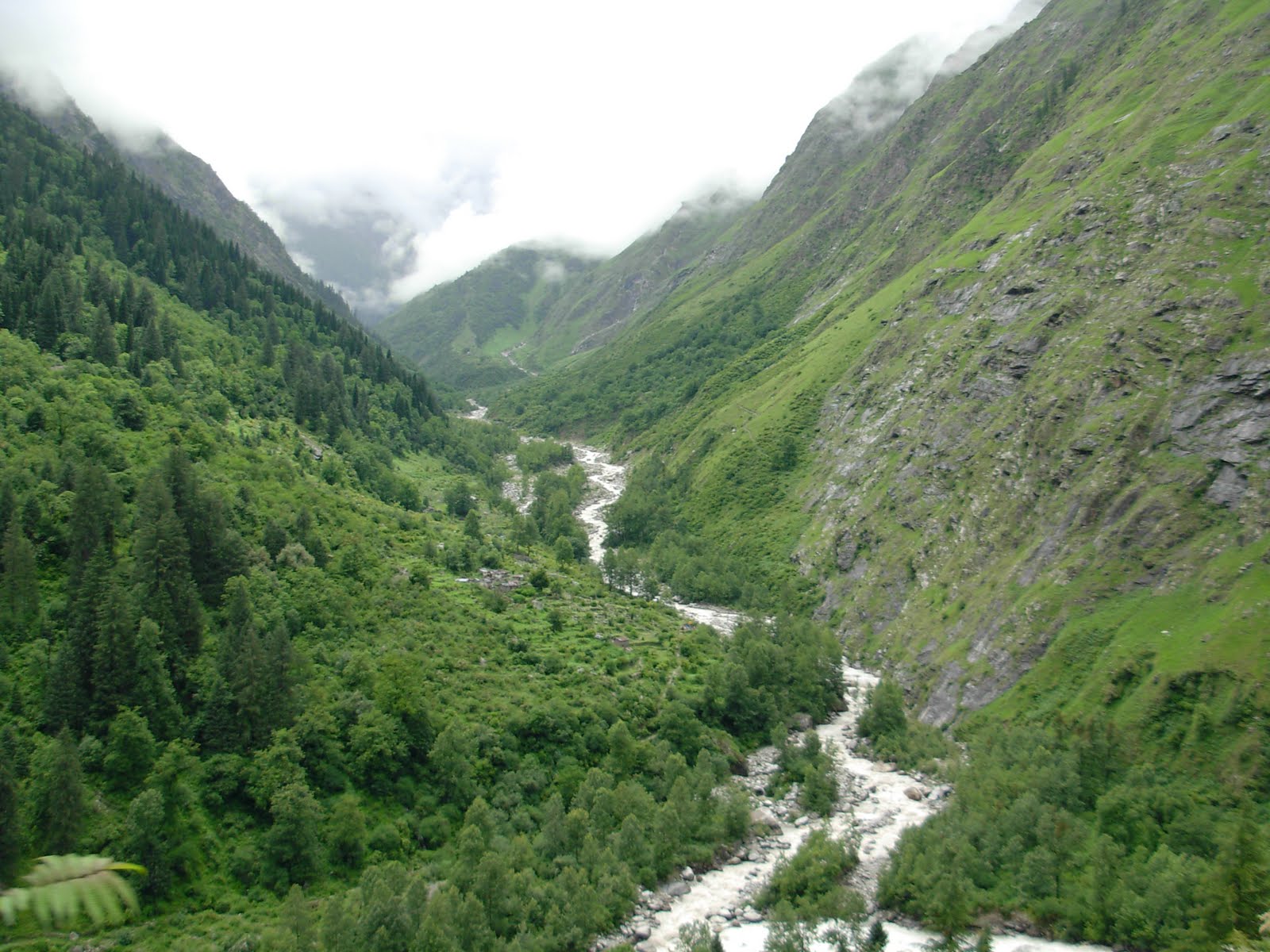 ShreeBadrinath: Shree Badrinath Temple