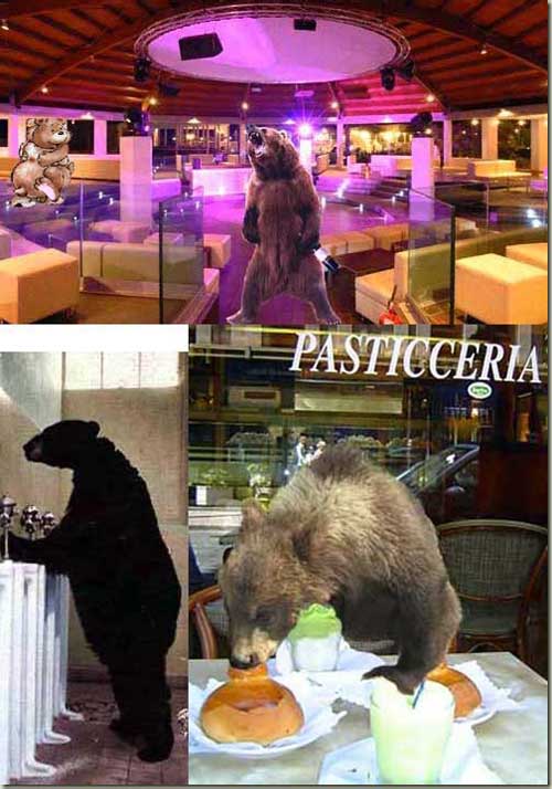 Amici-in-allegria: L’orso si diverte :-)