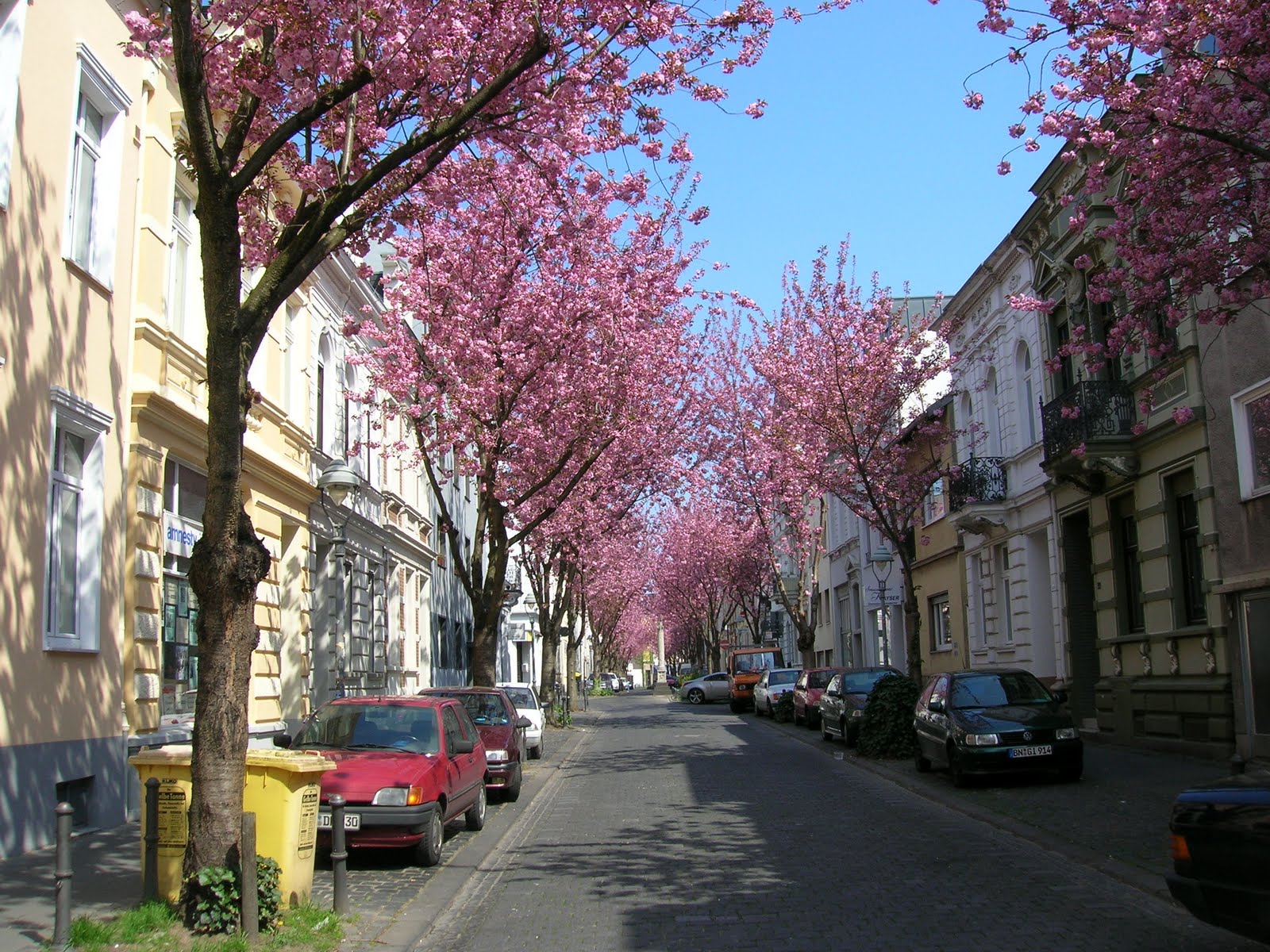 KultNews: Wochenend-Spaziergänge: Innenstadt, Altstadt & Vilich