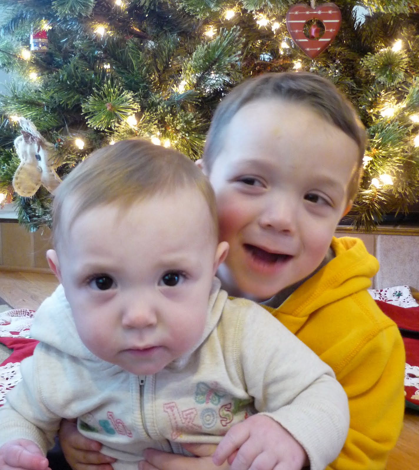 Update From The Coenens O Christmas Tree O Christmas Tree update-from-the-coenens-o-christmas-tree-o-christmas-tree