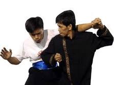 Combat Silat: Empty-Handed Counter-Attack | Malay Martial Arts - Silat